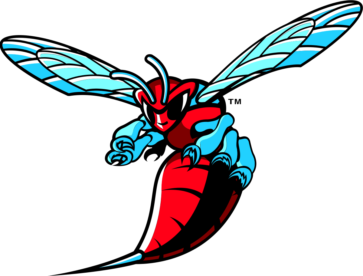 Delaware State Hornets - The College Sports Journal